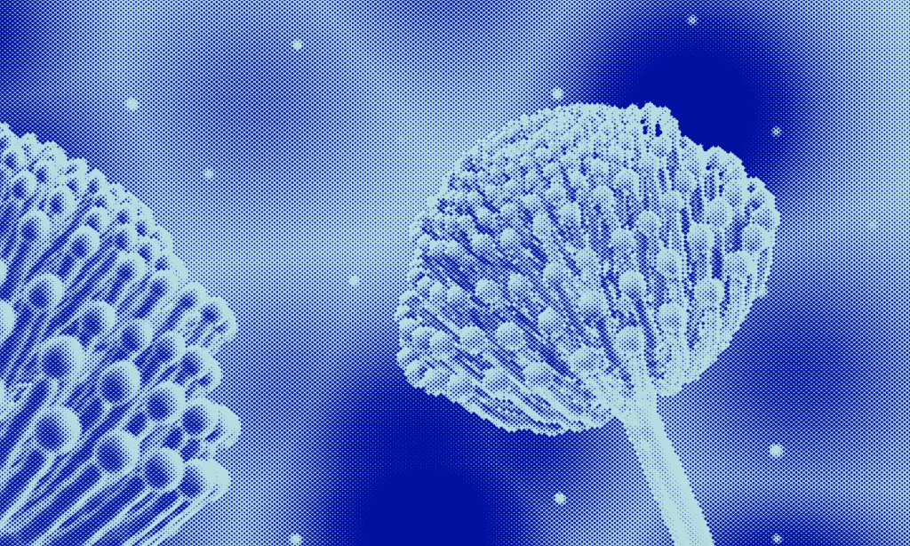 Ensuring Quality Best Practices In Qa And Testing Veritas Automata